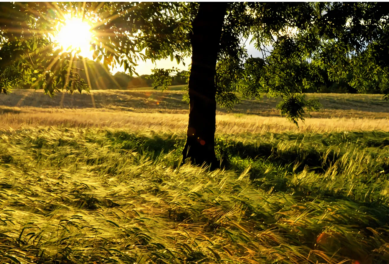 The Beautiful Mythology and Personality Analysis of Sagittarius ...